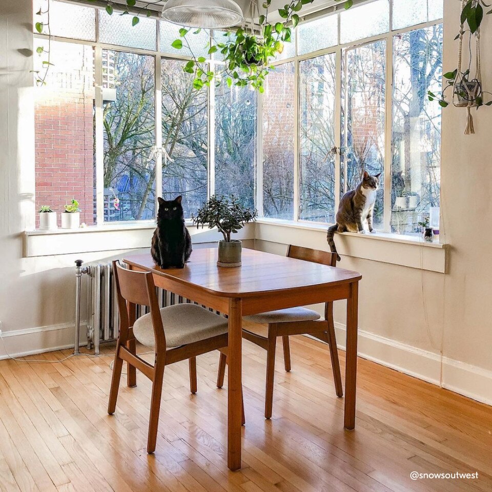 Baltimore Dining Chair - Mid-Century Comfort | West Elm UK
