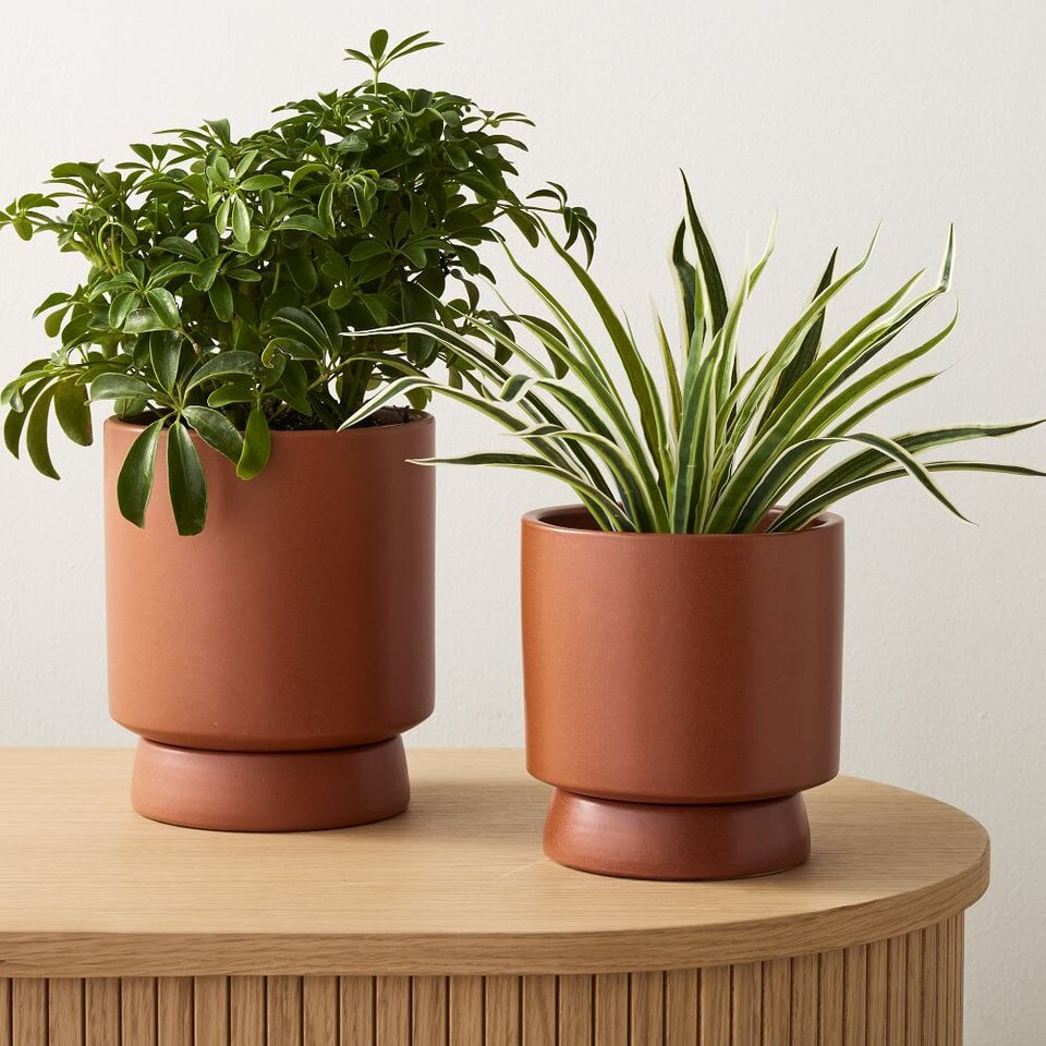 Bishop Tabletop Indoor/Outdoor Planters - West Elm UK
