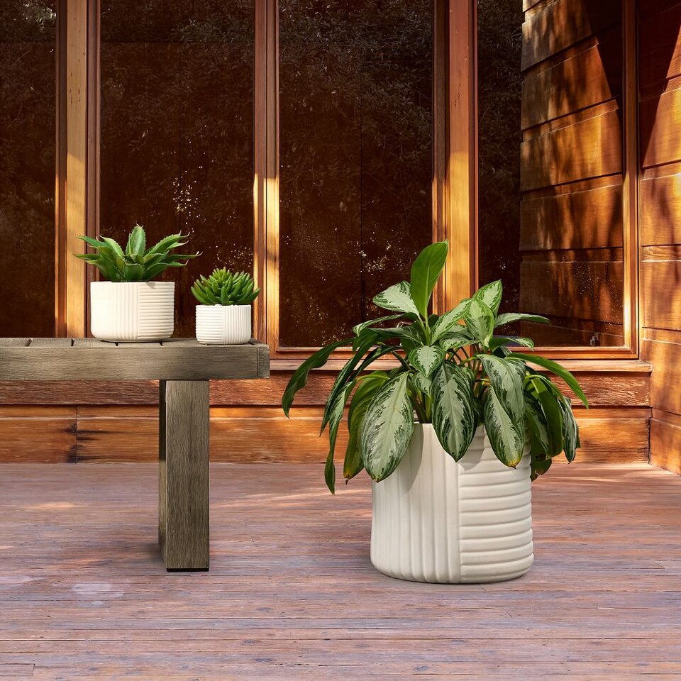 Cecilia Tabletop Planters | West Elm UK
