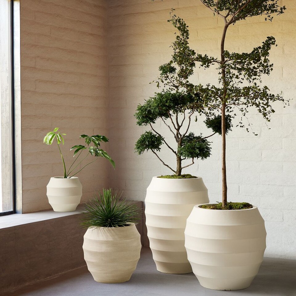 Eli Ficonstone Planters - Modern Indoor/Outdoor Decor | West Elm UK