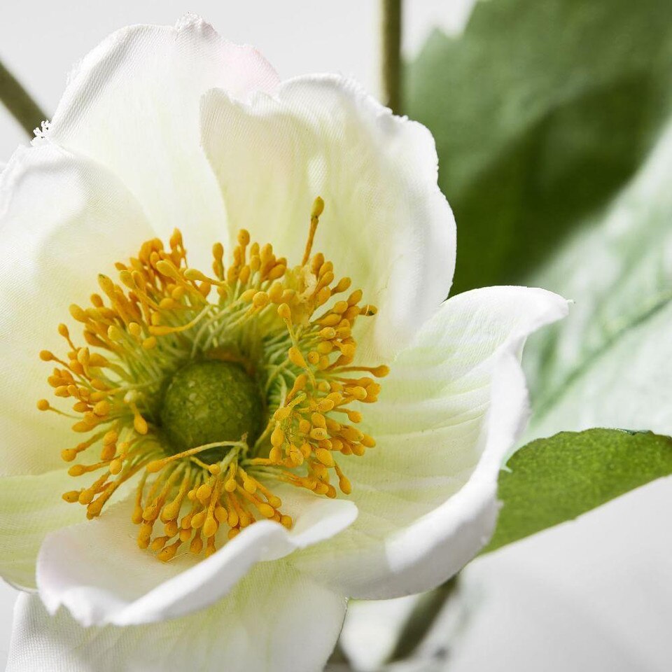 Faux Botanicals - Potted Anemone | west elm United Kingdom