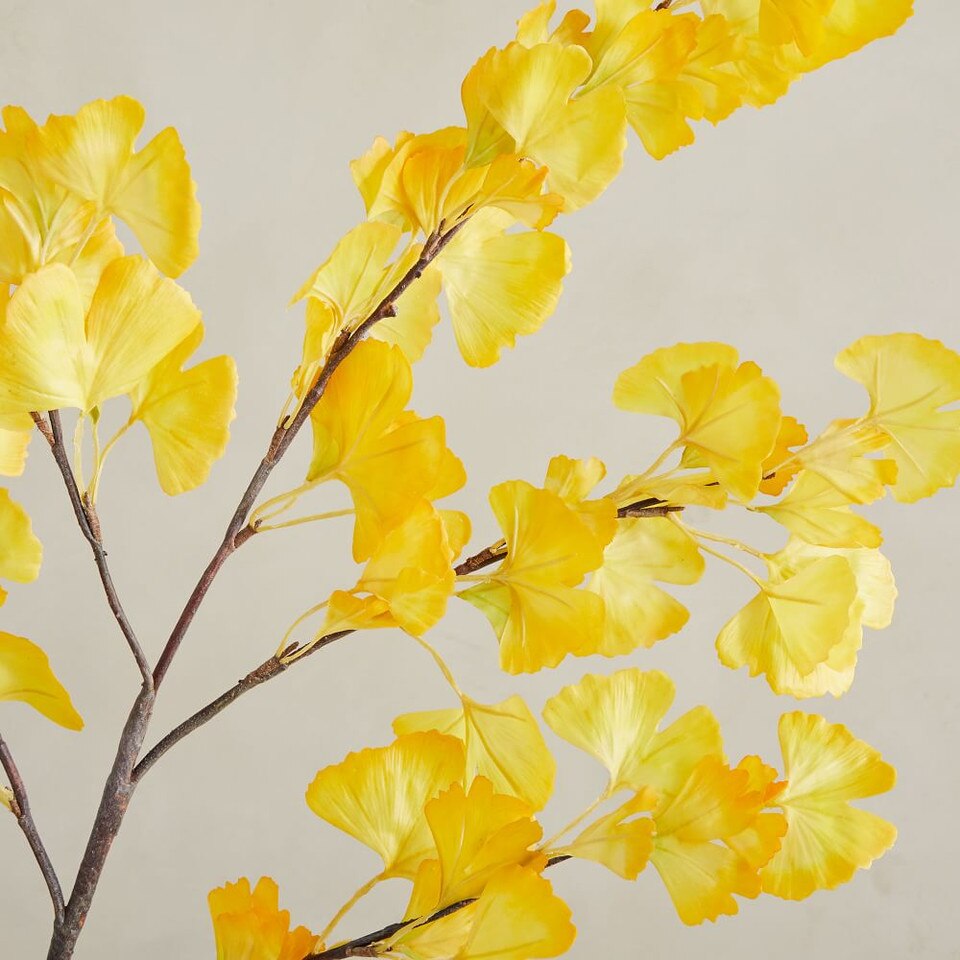 Faux Gingko Branch - Yellow | west elm United Kingdom
