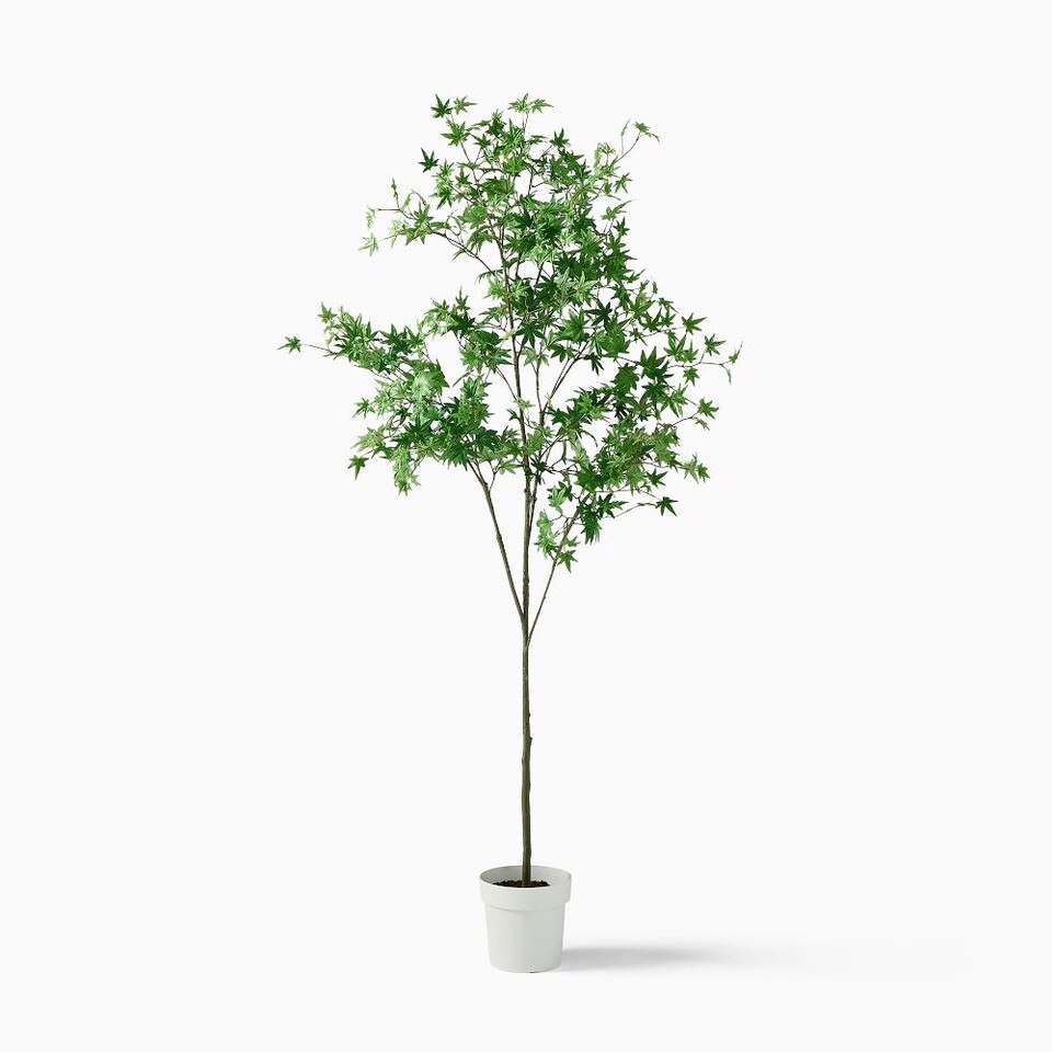 Faux Maple Potted Tree - West Elm UK