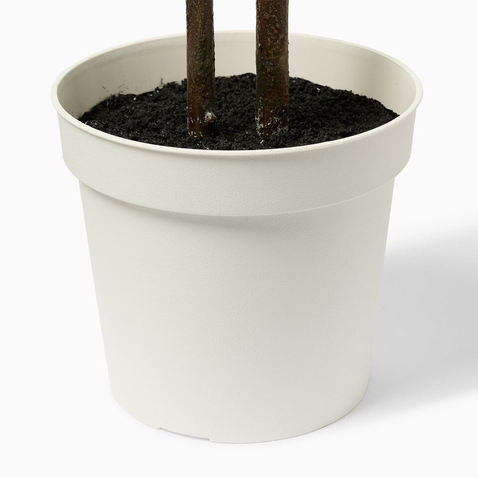 Faux Maple Potted Tree | West Elm UK