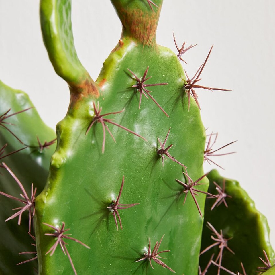 Faux Potted Flat Cacti | west elm United Kingdom