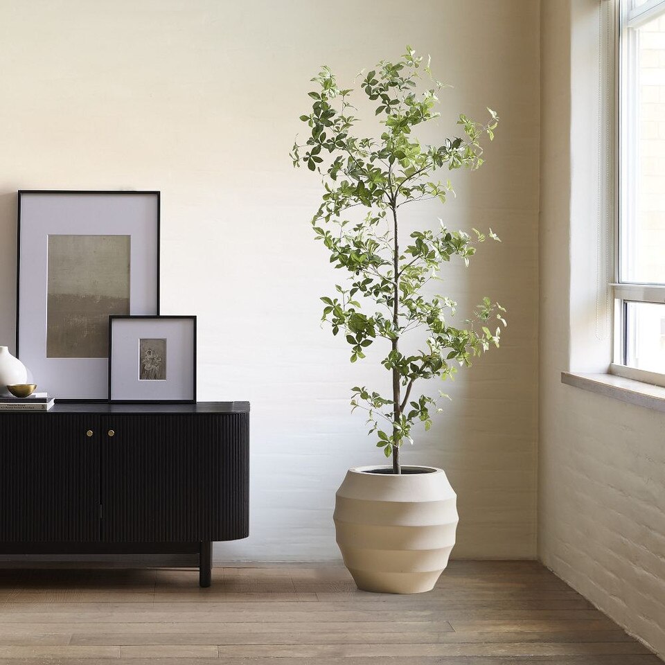 Faux Potted Quince Leaf Tree | West Elm UK
