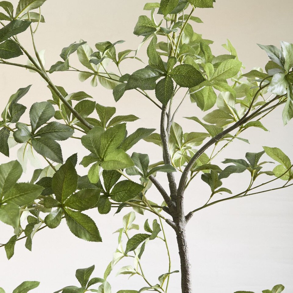 Faux Potted Quince Leaf Tree | West Elm UK