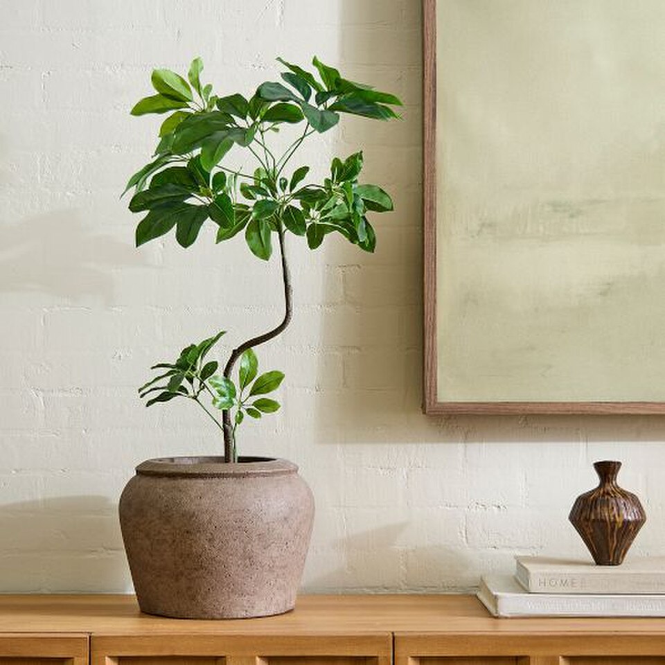 Faux Potted Tropical Tree | West Elm UK