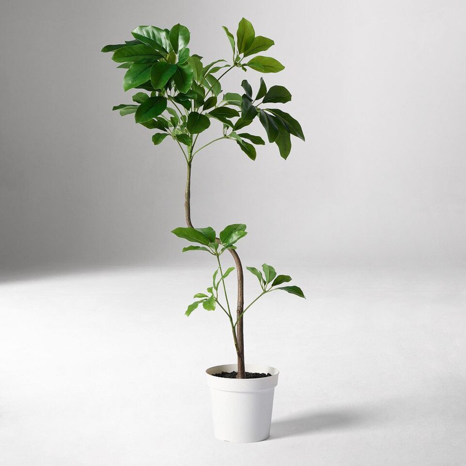 Faux Potted Tropical Tree | West Elm UK