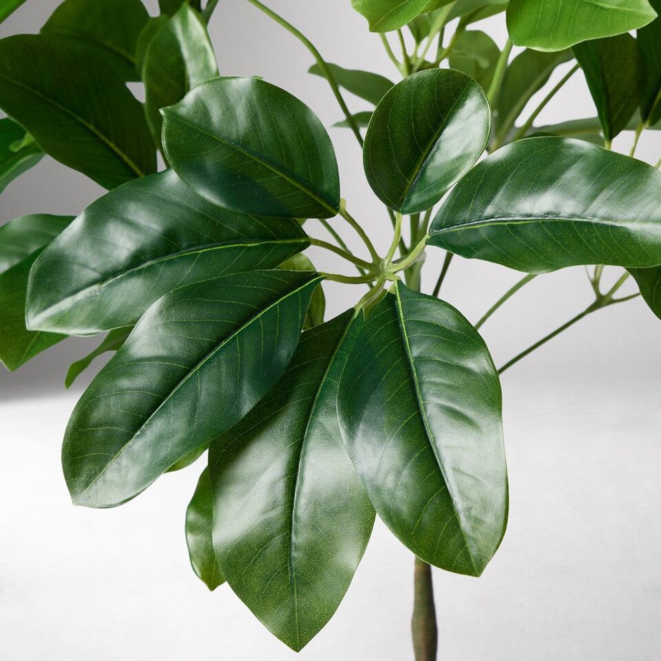 Faux Potted Tropical Tree | West Elm UK