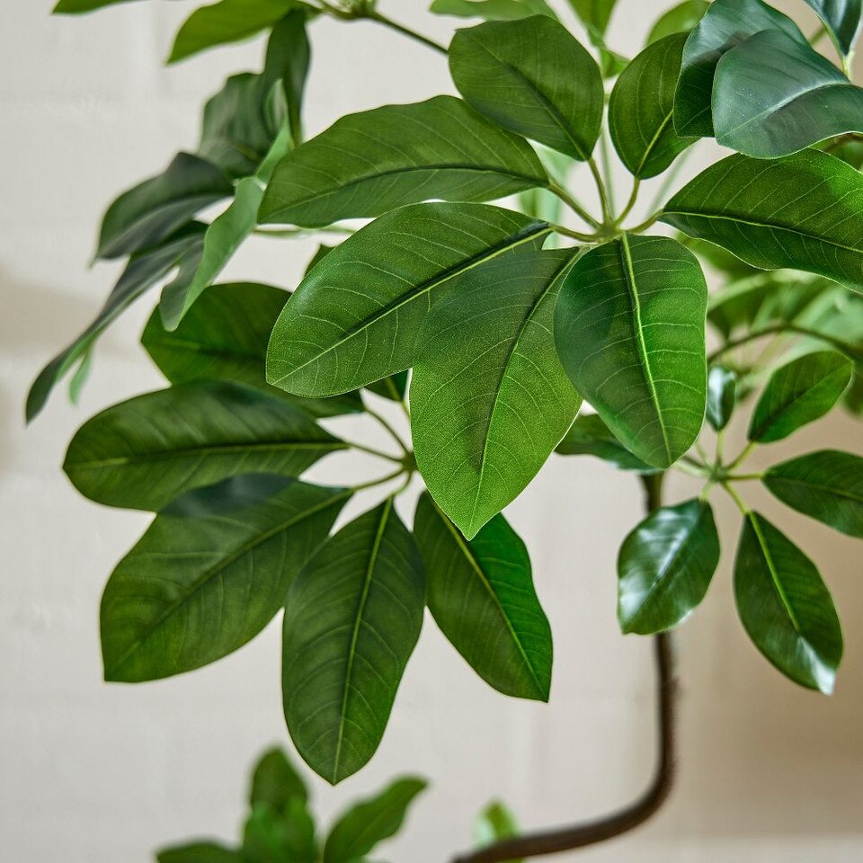 Faux Potted Tropical Tree | West Elm UK