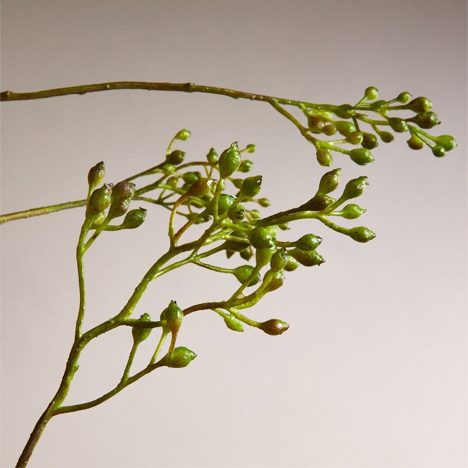 Faux Rosehip Branch - Modern Botanical Decor | West Elm UK