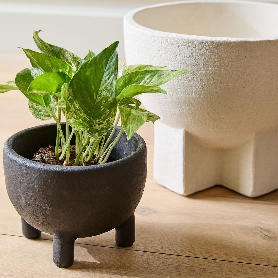Form Studies Ceramic Footed Planters | West Elm UK