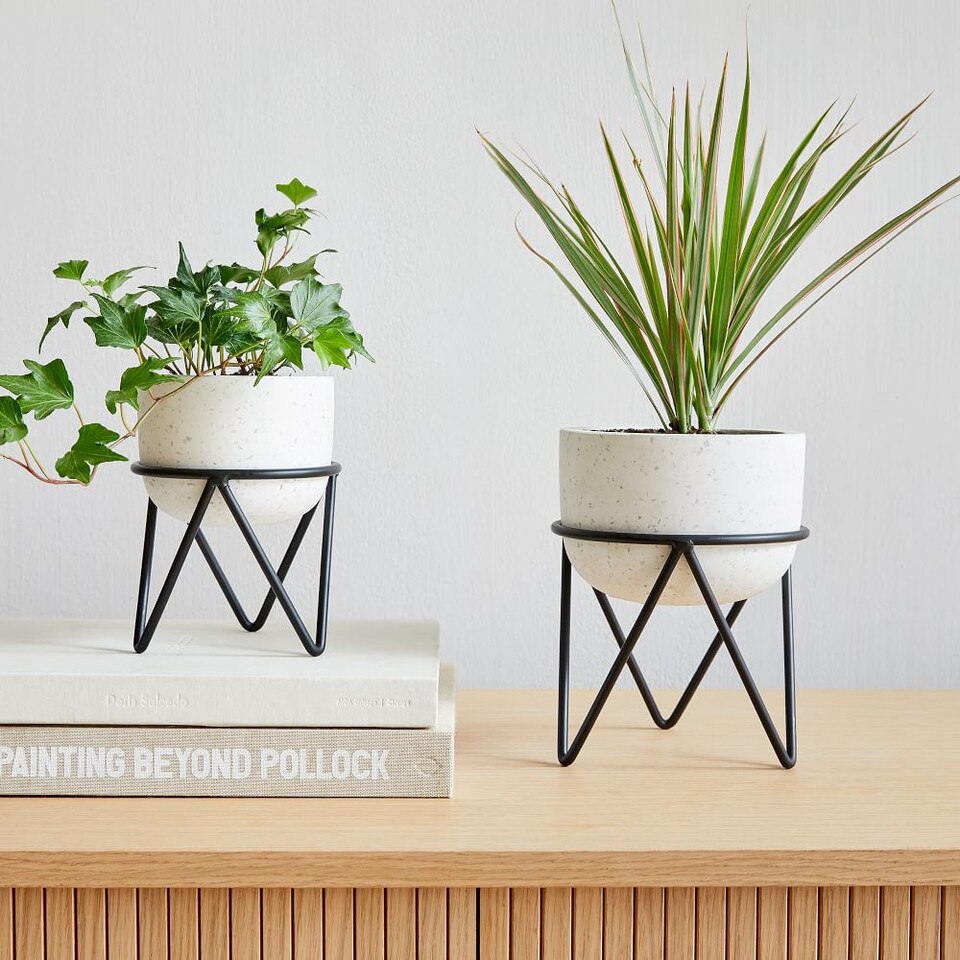 Iris Tabletop Planter - West Elm UK