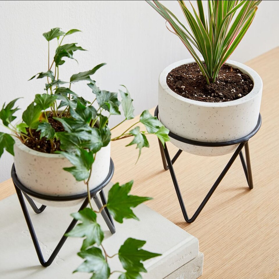 Iris Tabletop Planter - West Elm UK