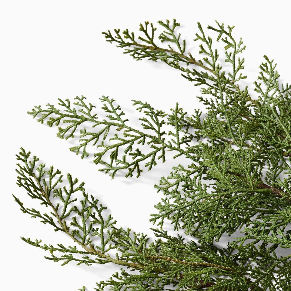 Faux Mini Pine Branch Bundle | West Elm UK