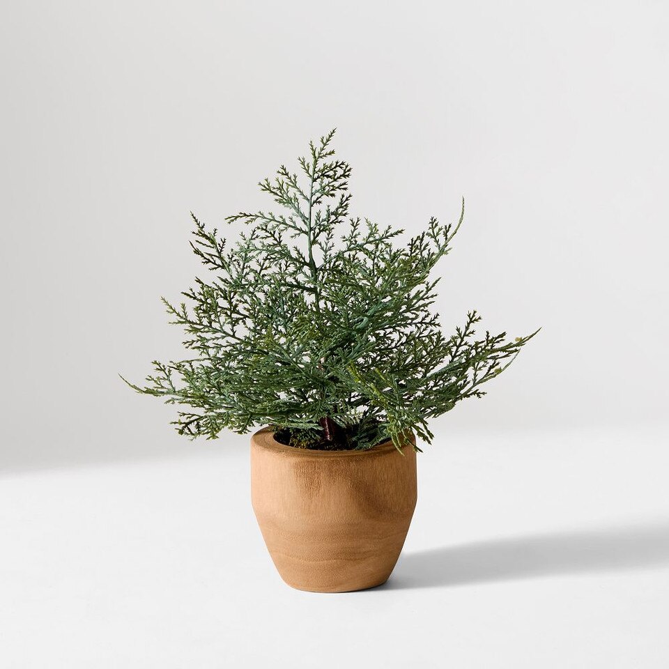 Faux Potted Pine Tabletop Tree | West Elm UK