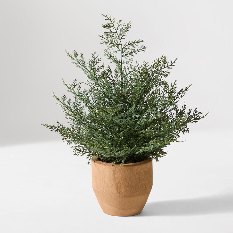 Faux Potted Pine Tabletop Tree | West Elm UK