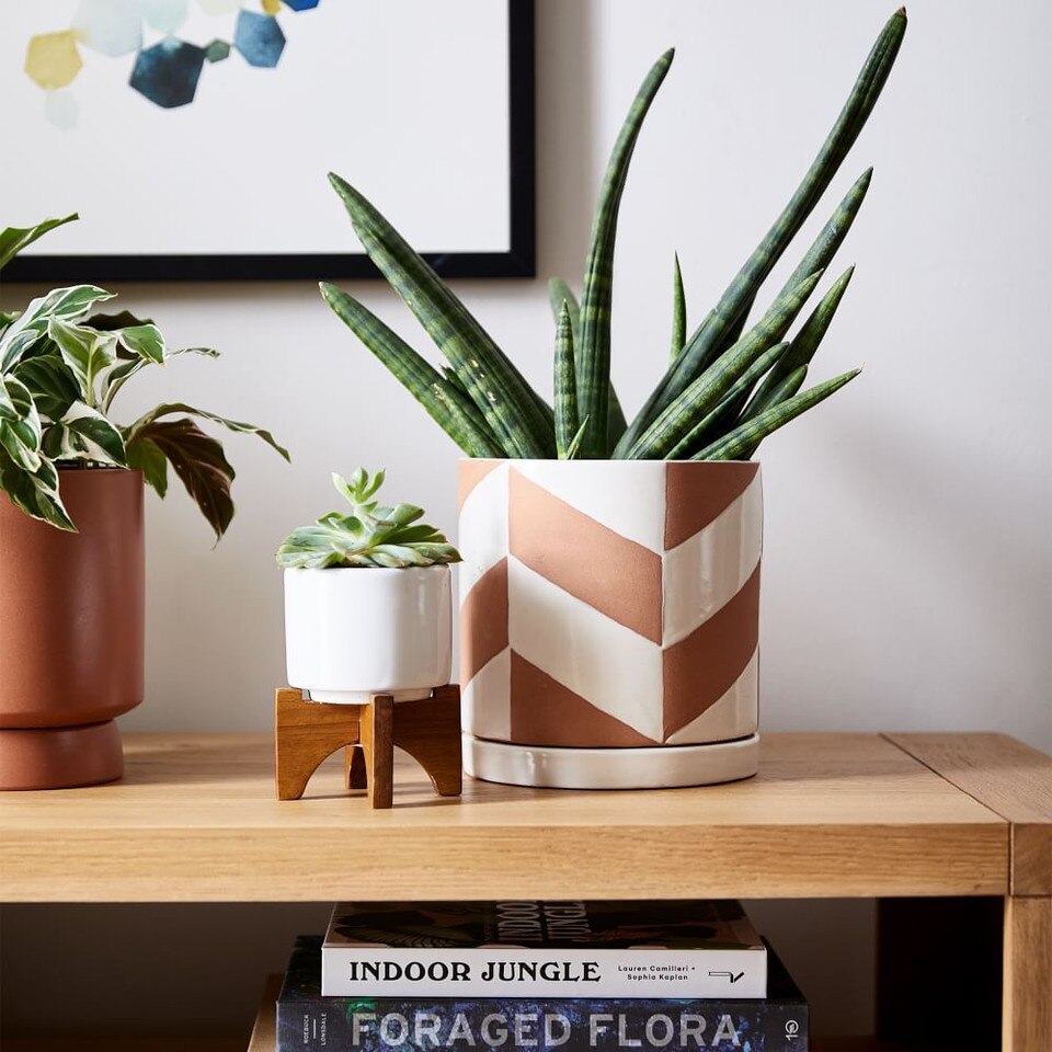 Diego Olivero Rio Terracotta Indoor/Outdoor Cache Pots | West Elm UK