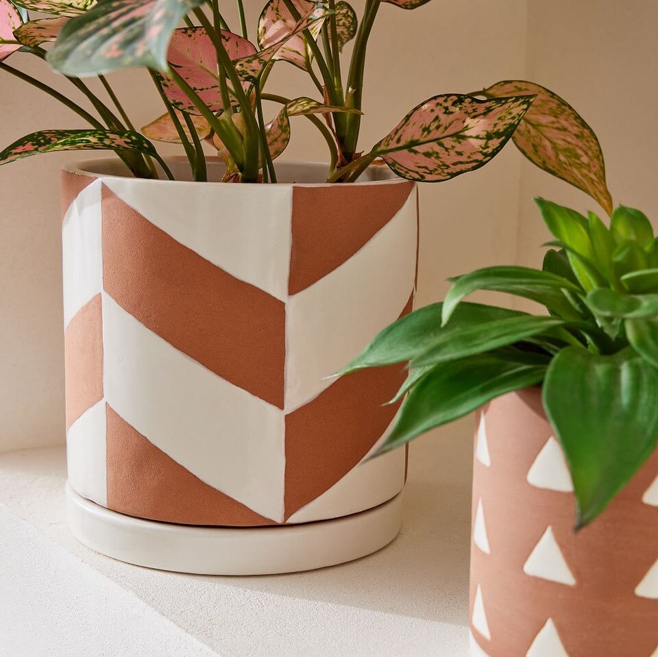 Diego Olivero Rio Terracotta Indoor/Outdoor Cache Pots | West Elm UK