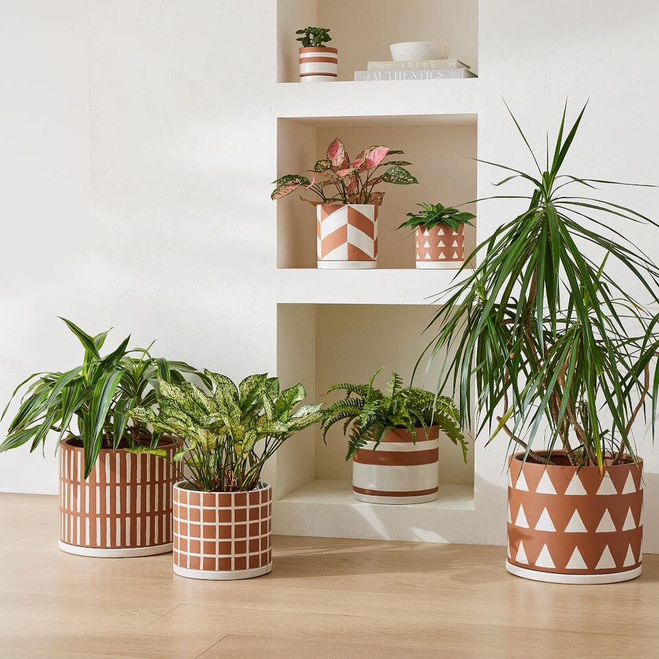 Diego Olivero Rio Terracotta Indoor/Outdoor Cache Pots | West Elm UK